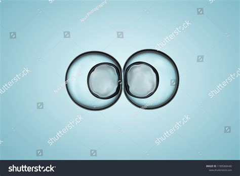 Cells Division Process Cell Divides Into Stock Photo Shutterstock
