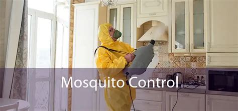Mosquito Control Mosquito Control Service