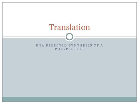 Translation Rna Directed Synthesis Of A Polypeptide Translation