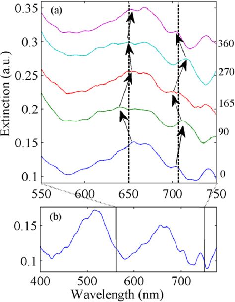 Measured Extinction Spectra Of Ordered Au Np Array With Varied