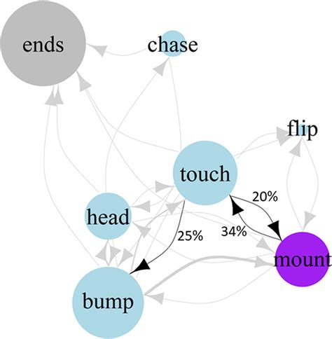 Ethogram For Femalefemale Interactions Size Of The Circle Indicates