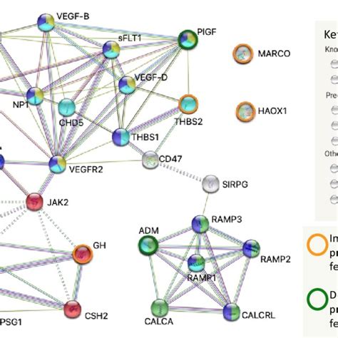 An Expanded Functional Network Demonstrating Interactions And Shared Go