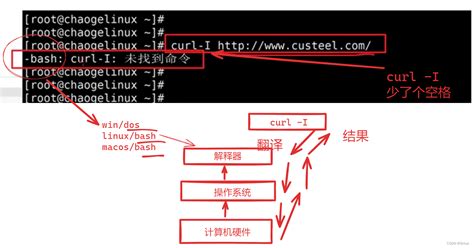 操作系统透视：从历史沿革到现代应用，剖析linux与网站服务架构 最开始流行的操作系统 csdn博客
