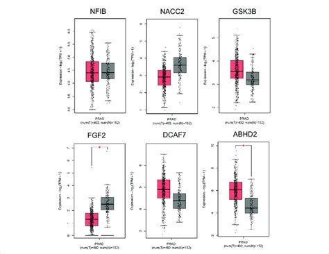 RNA Expression Levels In PC In Comparison To Normal Tissues From Download Scientific Diagram