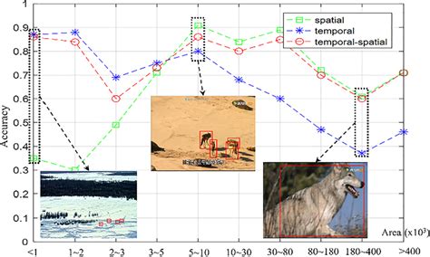 The Motion State Recognition Accuracy Of Spatial Temporal And Download Scientific Diagram