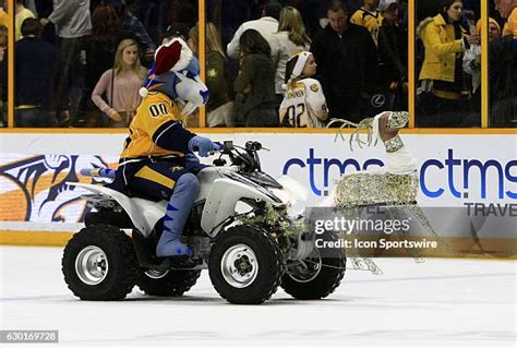 Nashville Predators Mascot Photos And Premium High Res Pictures Getty