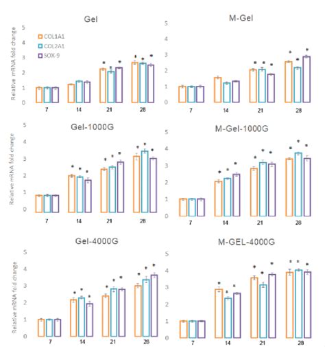 mrna expression levels of col1a1 alp and osn for osteogenic