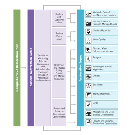 1 The Trustees Comprehensive Restoration Plan Showing The Goals And