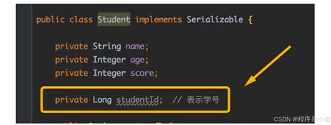 【java开发日记】说一说序列化与反序列化中存在的问题序列化的问题 Csdn博客