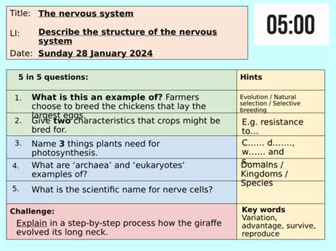 Aqa Gcse Structure Of Nervous System Teaching Resources