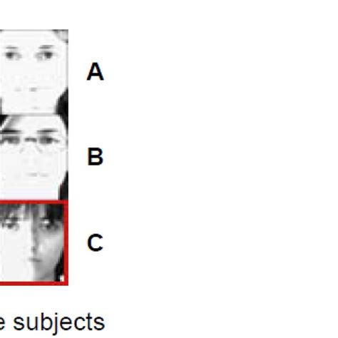An Example Of Face Recognition With Occlusions In The Training Set A Download Scientific