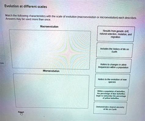 evolution t different scales matchethe following characteristics with