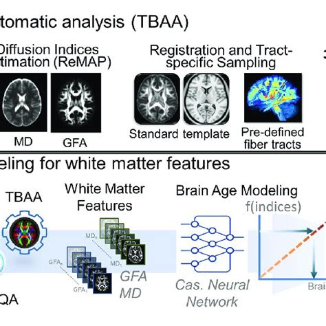 Analytic Pipeline Of Diffusion Mri Reconstruction And The Download Scientific Diagram