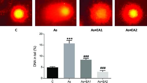 Comet Assay Analysis Of The Effect Of Ellagic Acid On Arsenic Induced
