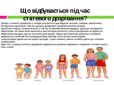 Статеве розмноження людини презентація з біології