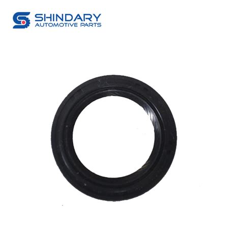 Oil Seal Input Shaft 17010017 B01 000 For Baic 206