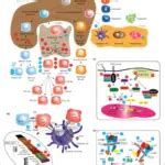 What Are Defects In The Complement System Pathosomes