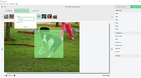 P A Library To Manage Visualize And Annotate Datasets In Computer