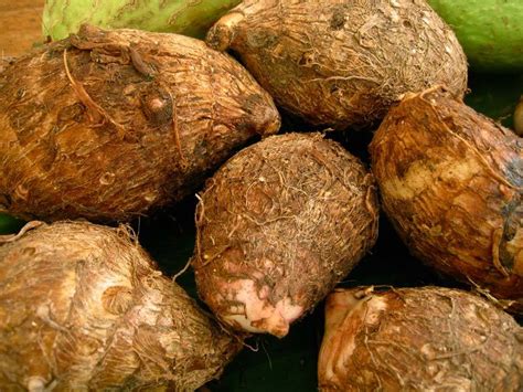 Organic Fresh Yam Root at best price in Howrah | ID: 18489919162
