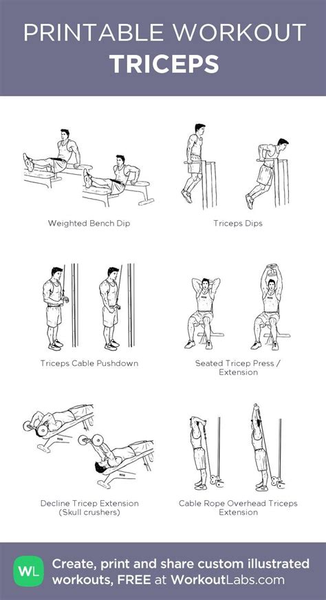 Triceps Exercises Chart