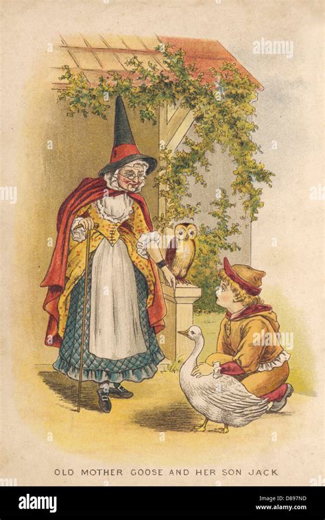 Gans Junge Fotos Und Bildmaterial In Hoher Auflösung Alamy