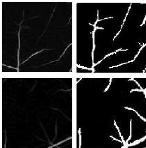 Image Window Binarization A Gabor Filter Response B Binarized