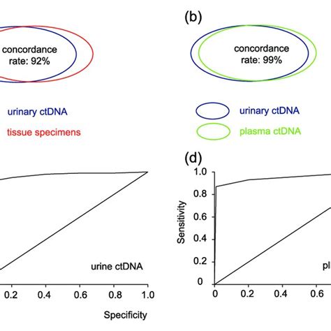 Detection Of Egfr Mutations In Plasma And Urinary Ctdna Before Download Scientific Diagram