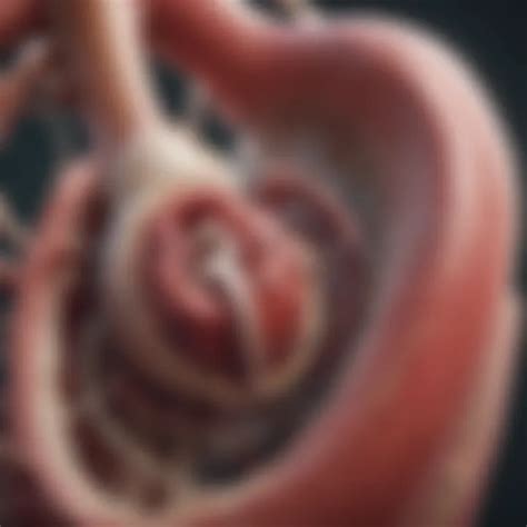 Aortic Valve Replacement Survival Rates Key Insights