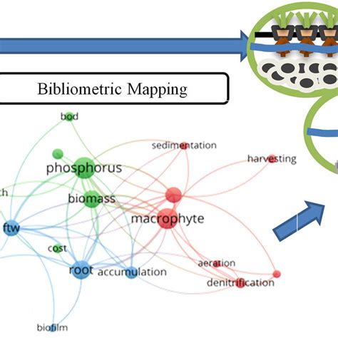 Floating Treatment Wetlands A Review And Bibliometric Analysis