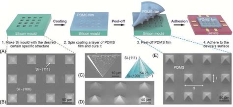 13 A Schematic Fabrication Process Of Microstructured Pdms Films For