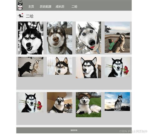 386大学生html5期末大作业 —【哈士奇宠物狗主题响应式自适应网页4页】 Web前端网页制作 Html5css3 Csdn博客