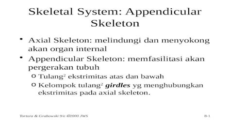 Pptx Appendicular Skeleton Ppt Dokumentips