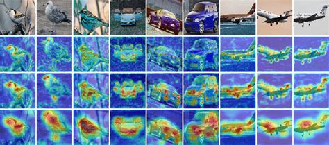 Visualization Of Feature Maps The First Row Is The Raw Input Images