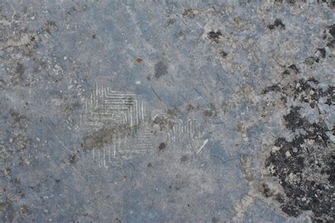 Premium Photo Cement Concrete Texture And Pattern