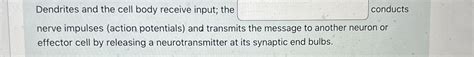 Solved Dendrites And The Cell Body Receive Input The