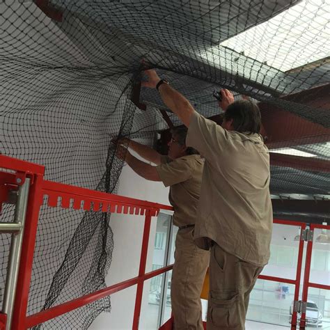 Warehouse Bird Proofing Netting Spikes Removal And Shock Systems