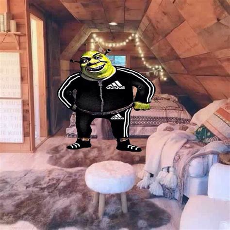 Создать мем мемы шрек вася в адидасе свинья в адидасе Картинки Meme