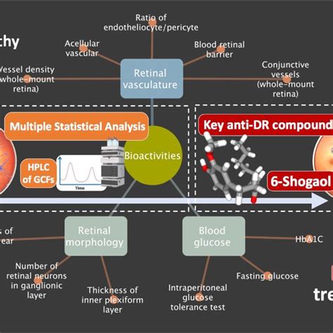 Schematic Of Mathematical Prediction Bioactivity Model Underlying The