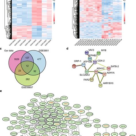 Identification Of Common Degs And Construction Of Ppi Network A B