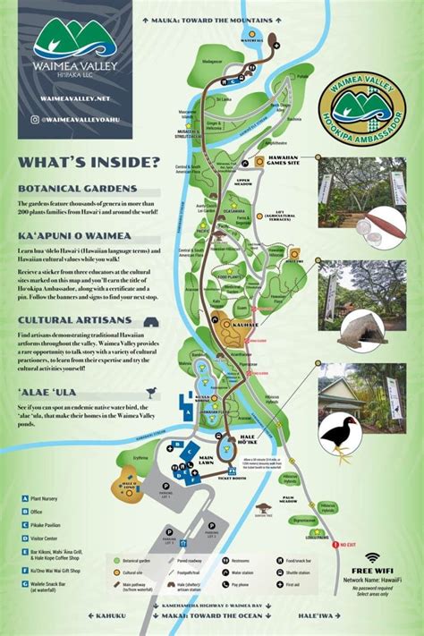 Guide To Waimea Valley Oahu Haleiwa Town