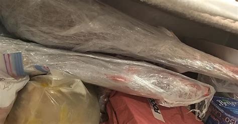 Proof Album On Imgur