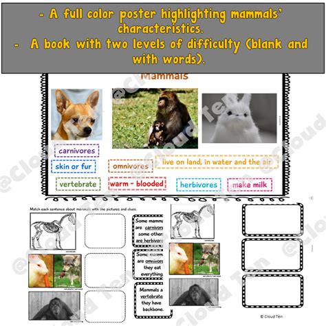 Mammals Characteristics