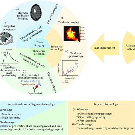 Pdf Terahertz Imaging And Spectroscopy In Cancer Diagnostics A Technical Review