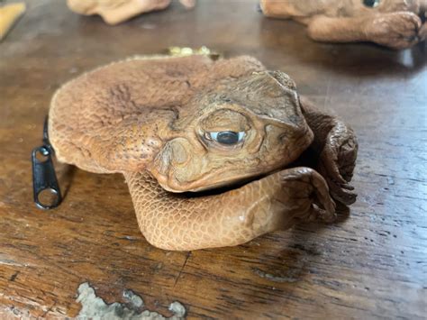 Cane Toad Purse The Last Tuesday Society