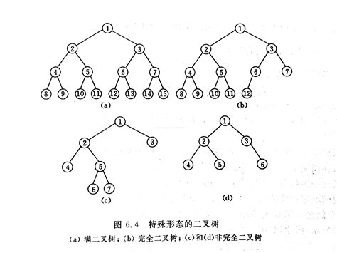 62二叉树及二叉树存储结构2树与二叉树的存储结构 Csdn博客