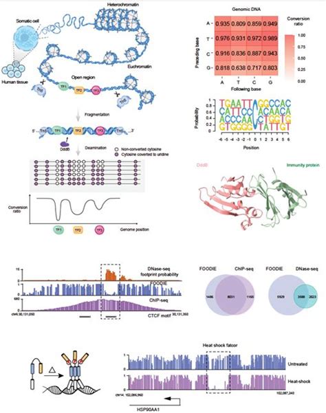 Peking Universitys Fodie Technique For Tfs Association For Single