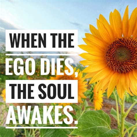 Feed Your Ego Kill Your Ego How To Outgrow Societys Expectations For