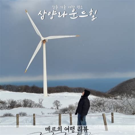 삼양라운드힐 찐후기 강원도 평창 겨울 여행 추천 필수 코스 네이버 블로그