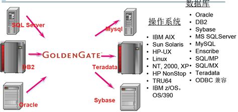 Golden Gate 概念和机制 Csdn博客