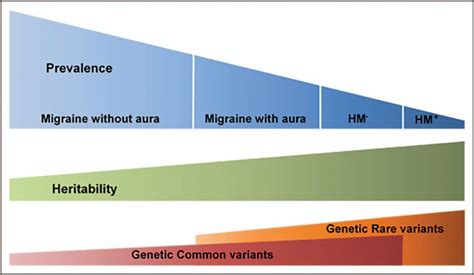Advance In Genetics Of Migraine Pmc